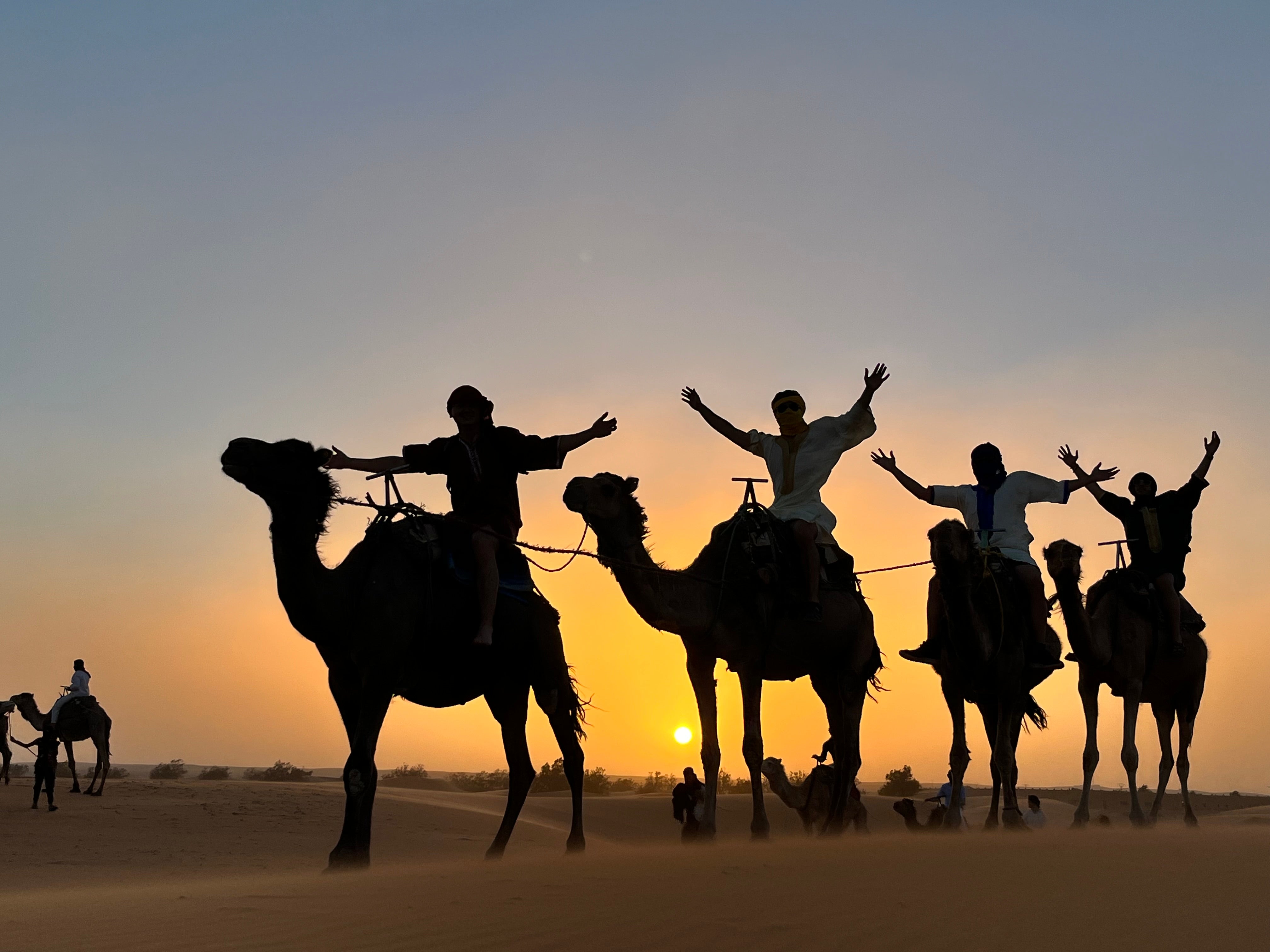 UMD Launches Immersive Arabic Program in Jordan | Maryland Global